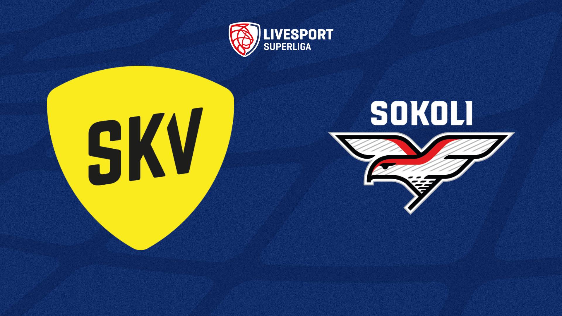 TJ Sokol Královské Vinohrady - SOKOLI Pardubice