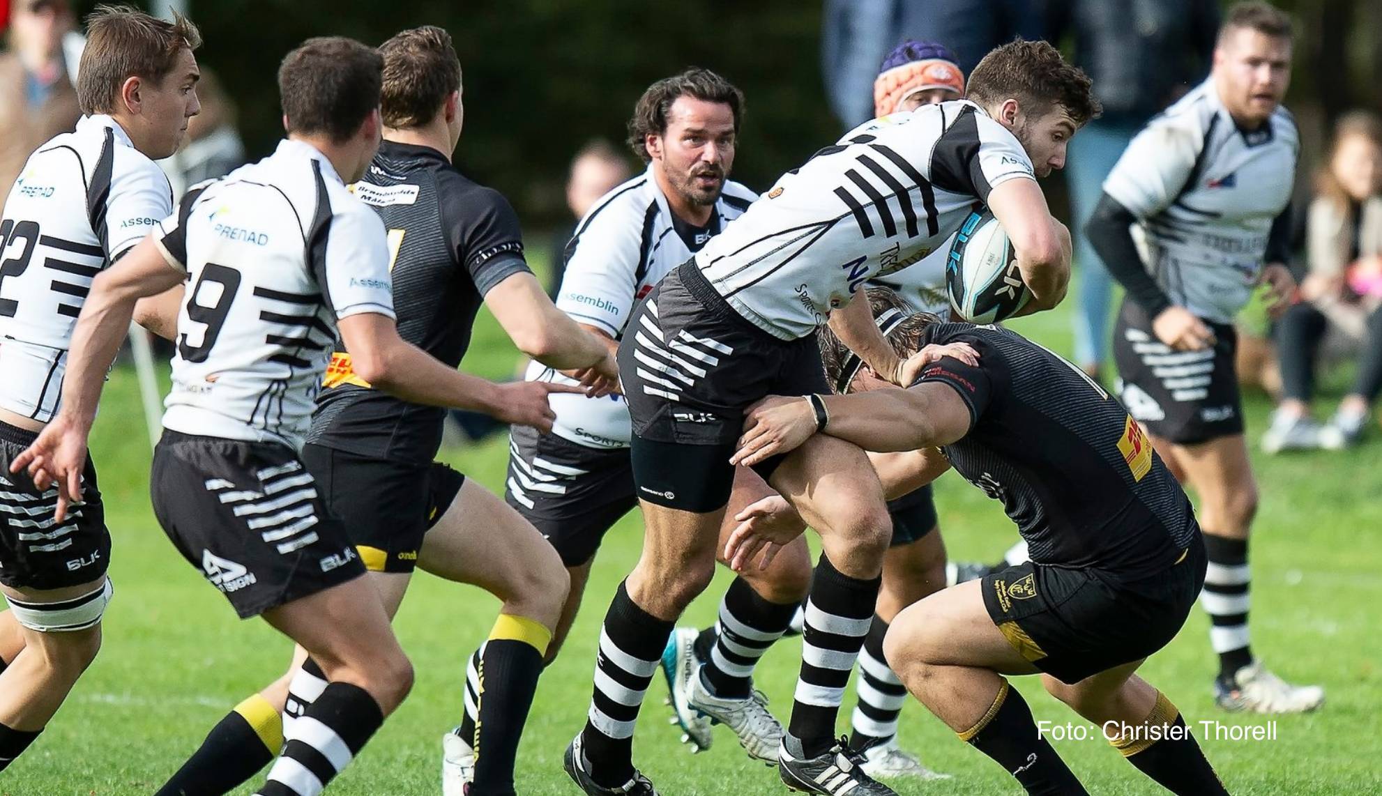 Omgång 2: Pingvin RC - Stockholm Exiles RFC