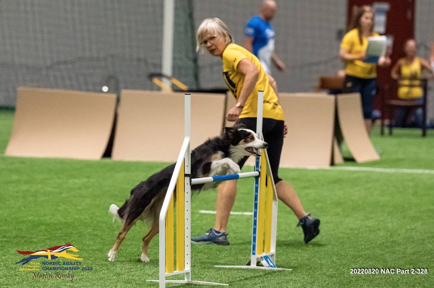 Landslagsuttagning 30 april - Agility C (IM+Large)